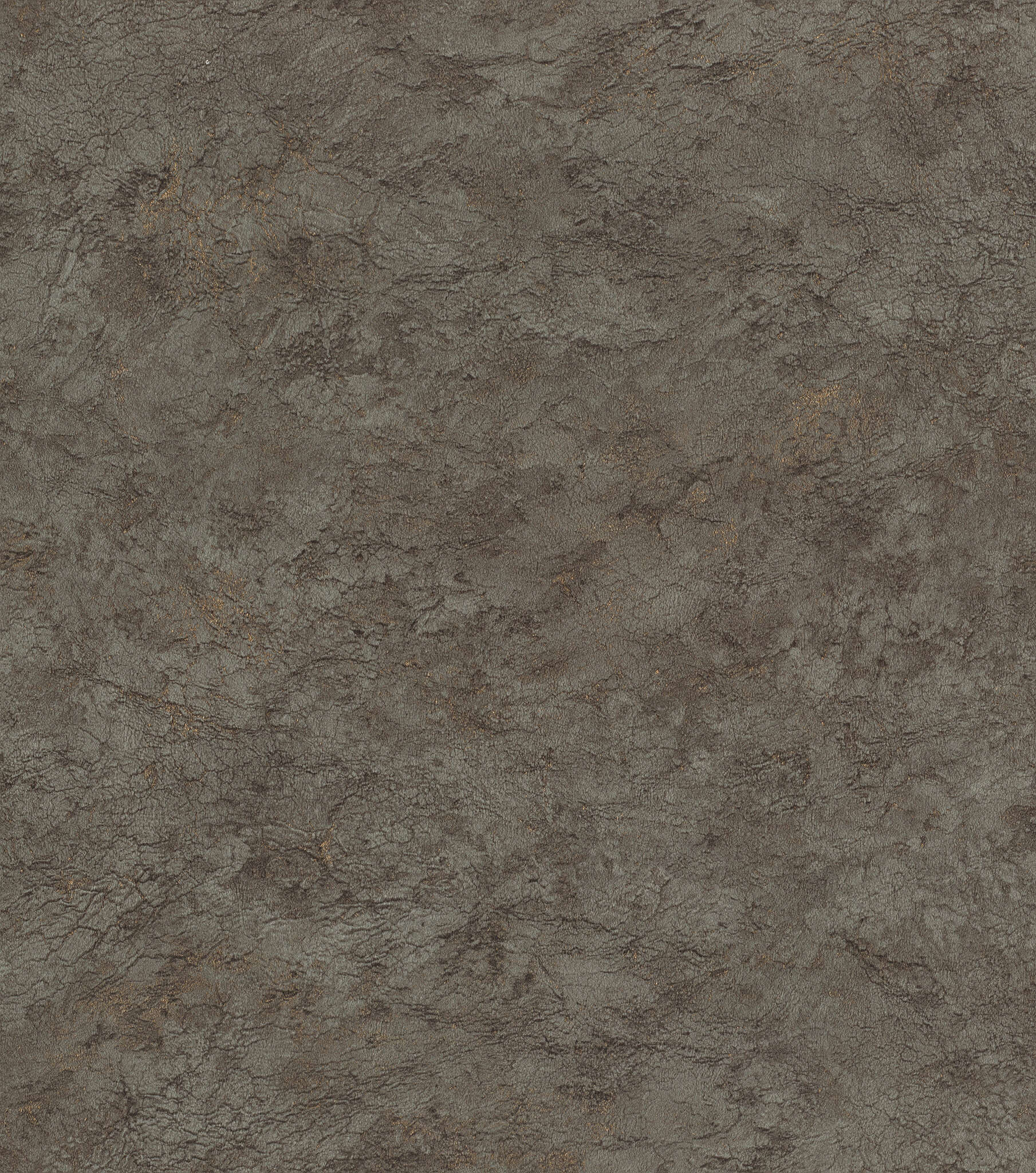 Vliestapete Terra in Dunkelgrau Factory VI 497564 | 0,53 m | 10,05 m ...